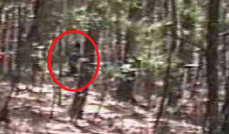 Bigfoot strikes man in chest as he films it run off