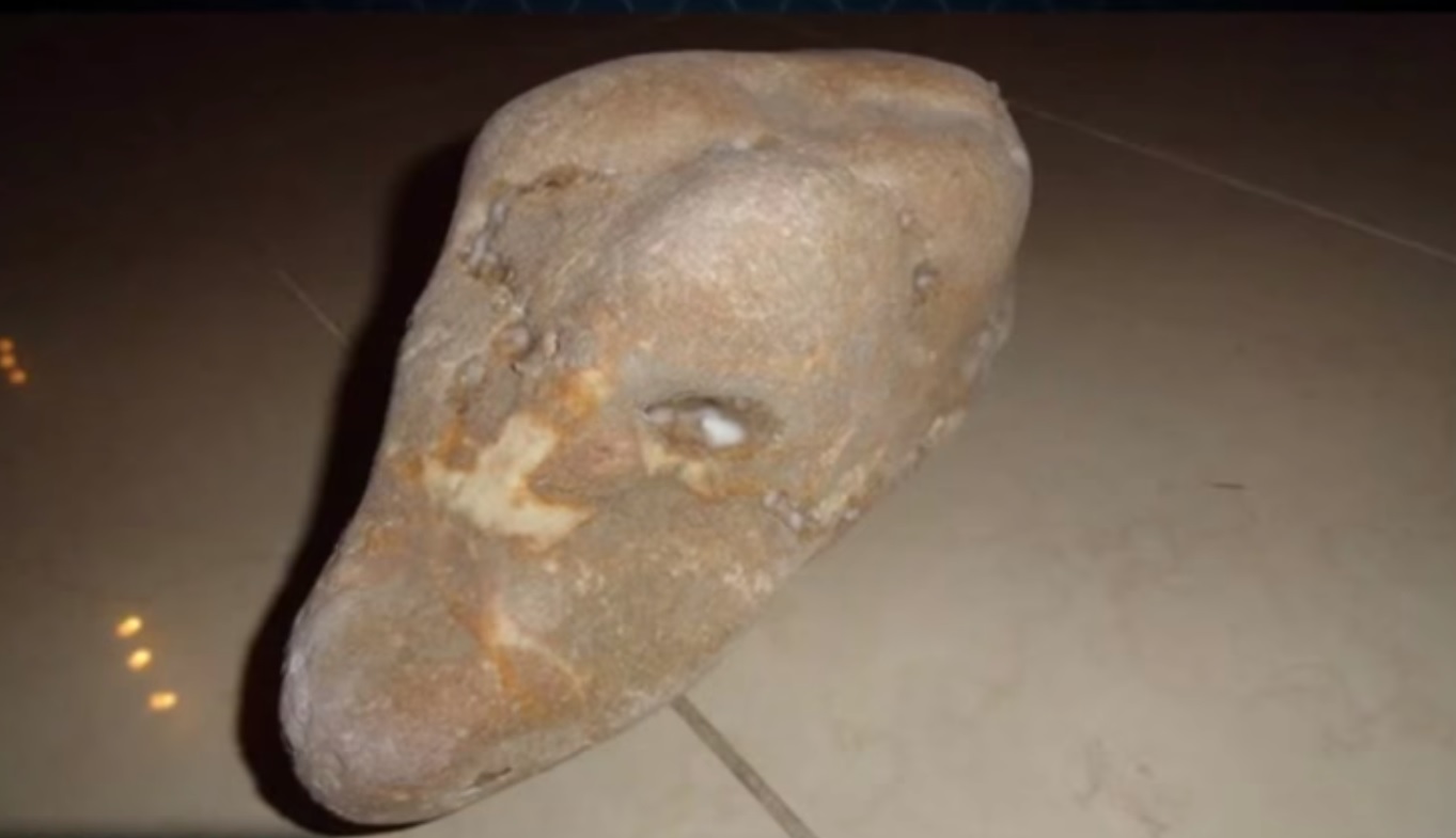 Fossilized Alien Head Found
