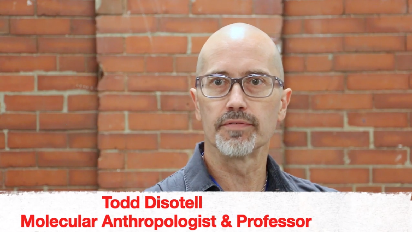 Todd Disotell interviewed on Sasquatch: Out of the Shadows