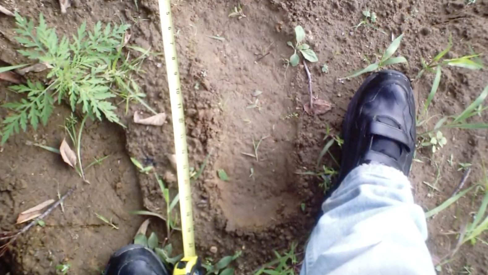 What makes an area "squatchy" according to Mattsquatch