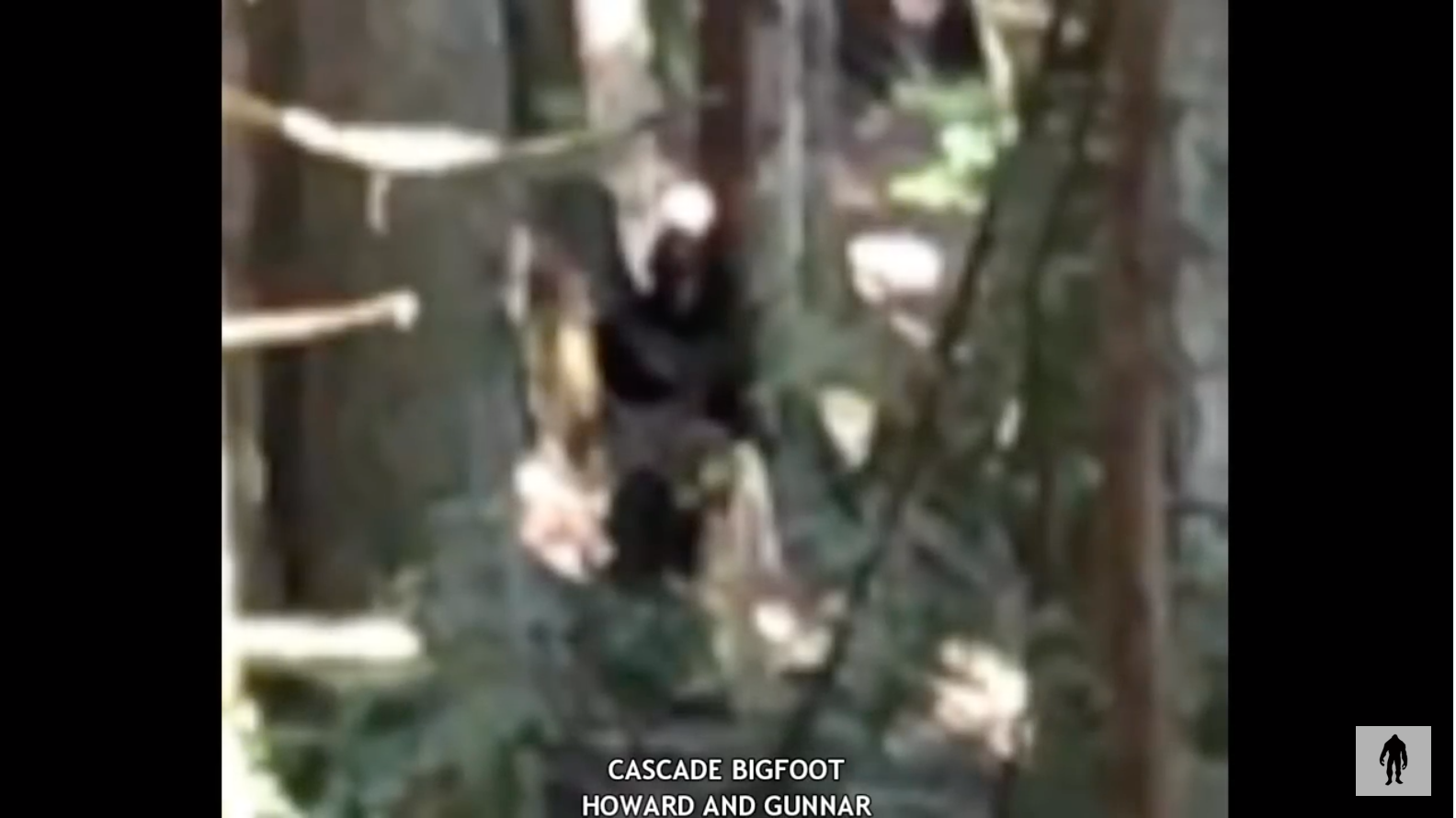 Possible Bigfoot watching researchers in Cascade Bigfoot video