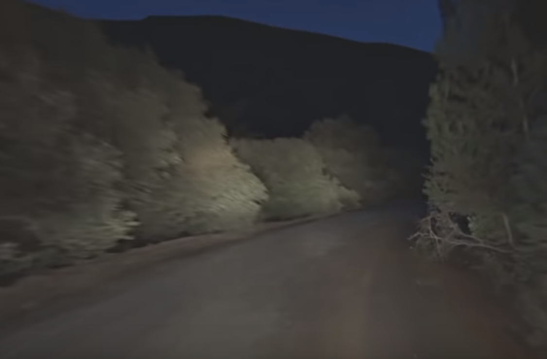 4 Real Life Dogman Sightings & Encounters