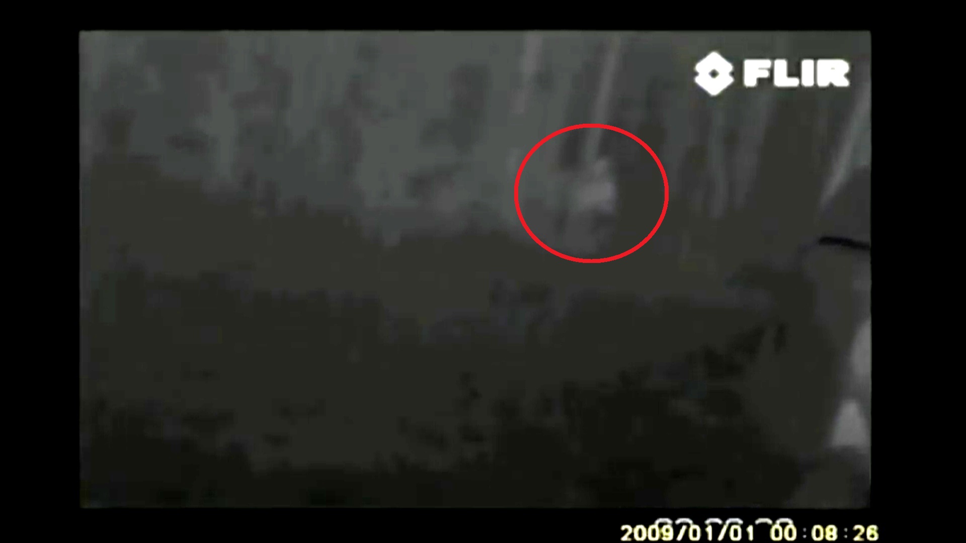 Bigfoot Caught On Night Vision Scope