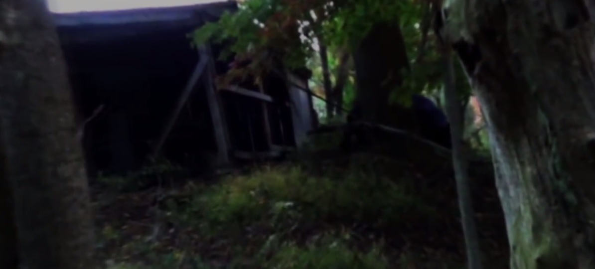 Werewolf Dogman Caught On Camera