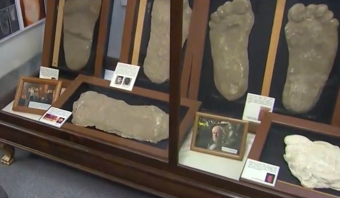 Sasquatch Revealed Museum