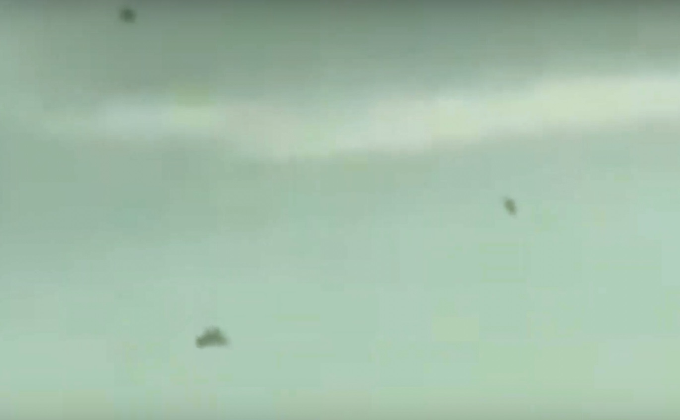 US Woman Captures Mysterious Flying Object