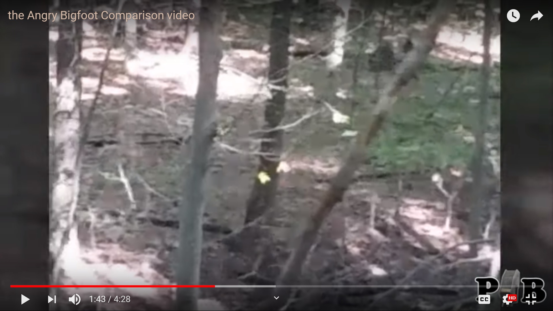 The Angry Bigfoot Comparison Video