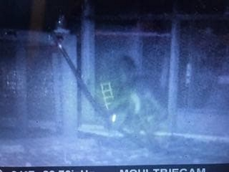 Possible juvenile Bigfoot caught on trail cam next to chicken coop near ...